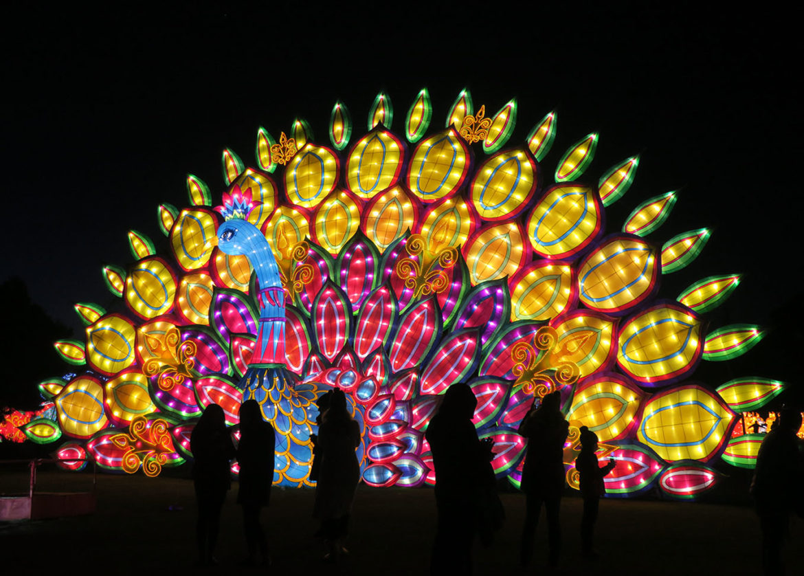 2019 Guide to the Best Holiday Lights in Los Angeles - Left Coast Crafted