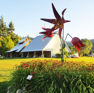 A Guide to the Unique Wines of Southern Oregon - Left Coast Crafted